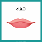 Learn Arabic with Fun Face Flashcards for Preschoolers