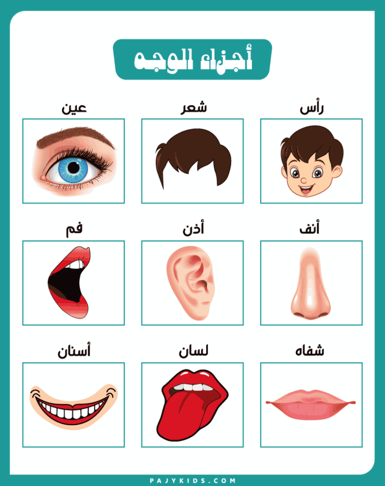 Learn Arabic with Fun Face Flashcards for Preschoolers