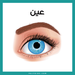Learn Arabic with Fun Face Flashcards for Preschoolers