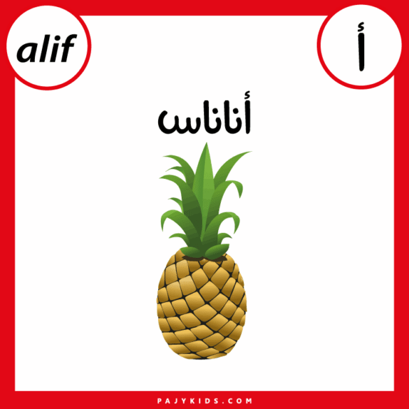 Creative Arabic Alphabet flashcards for Preschoolers