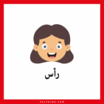 Learn Arabic Flashcards for Teaching Human Body Parts to Kids