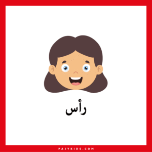 Learn Arabic Flashcards for Teaching Human Body Parts to Kids