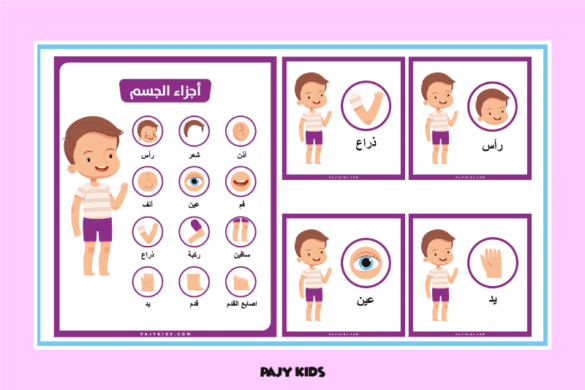 Learn Arabic with Fun Face Flashcards for Preschoolers