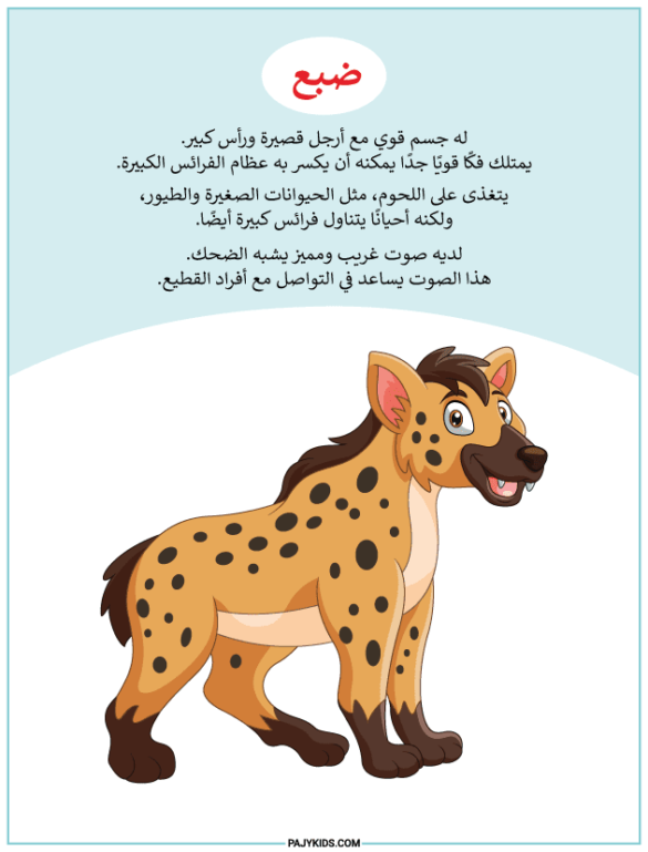 Kindergarten Traceable Worksheets for Early Learning