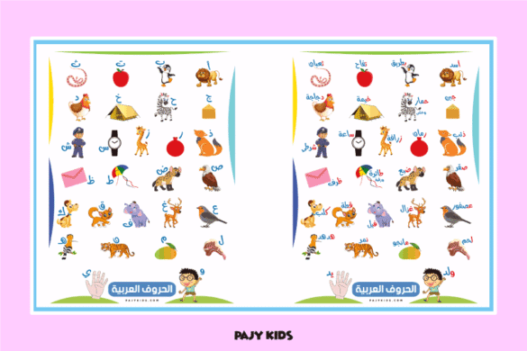 Learn Arabic Flashcards for Teaching Human Body Parts to Kids