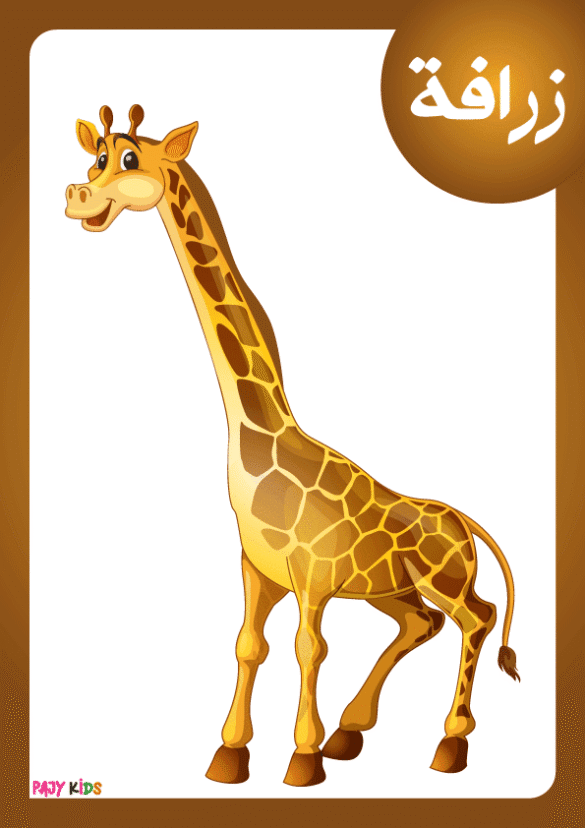 Forest Animals Flashcards in Arabic for Preschoolers