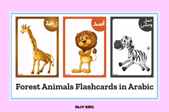 Learn Arabic Flashcards for Teaching Human Body Parts to Kids
