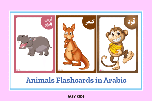 Learn Arabic with Fun Face Flashcards for Preschoolers