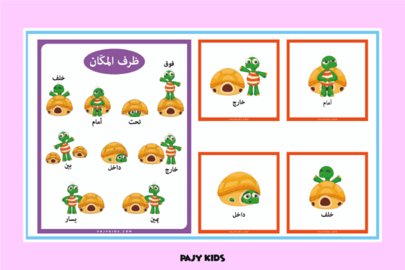 Learn Arabic Flashcards for Teaching Human Body Parts to Kids