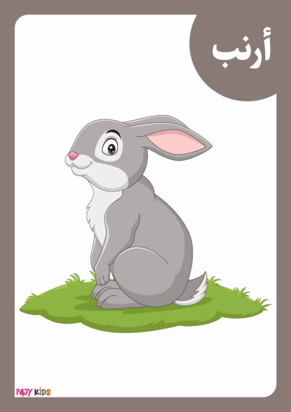 Arabic Animal Flash Cards Printable for Farm-Themed Learning