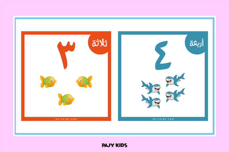 Arabic counting Flashcards and Early Childhood Development