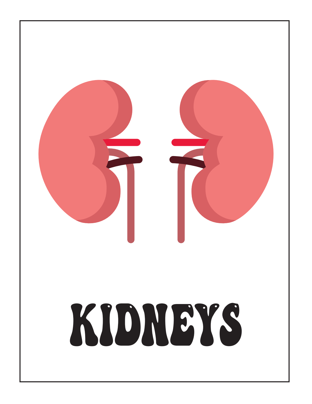 Human Body Systems: Teaching Science in Early Childhood