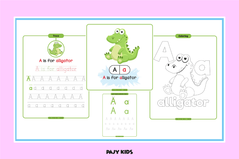 Learn Letter A with Flashcards and Alligator Words