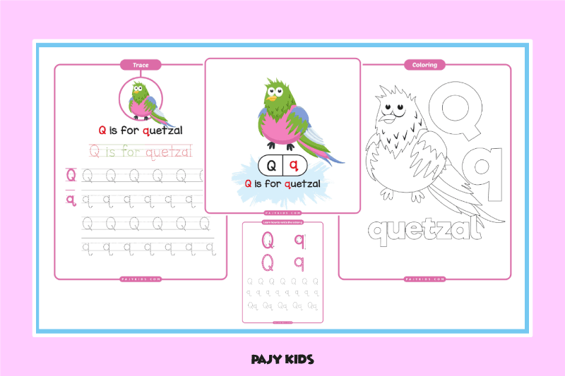 English Alphabet - باچي كيدز