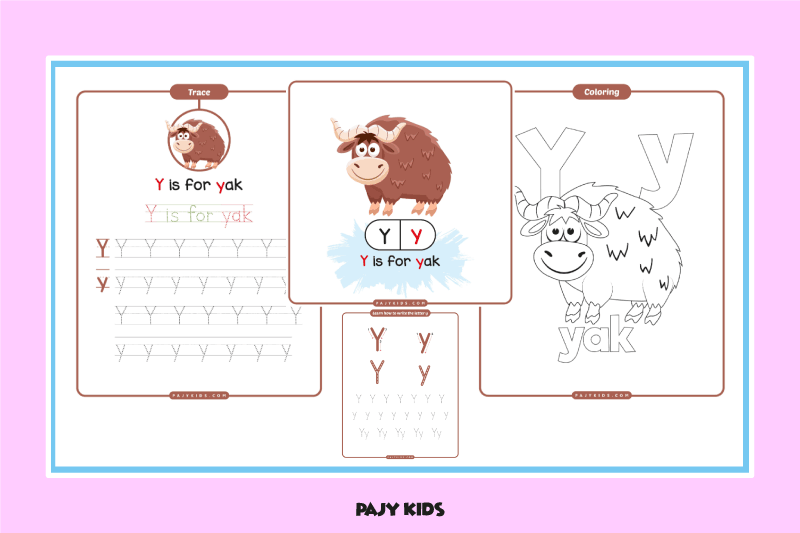 Y is for Yak: Preschool Alphabet Series