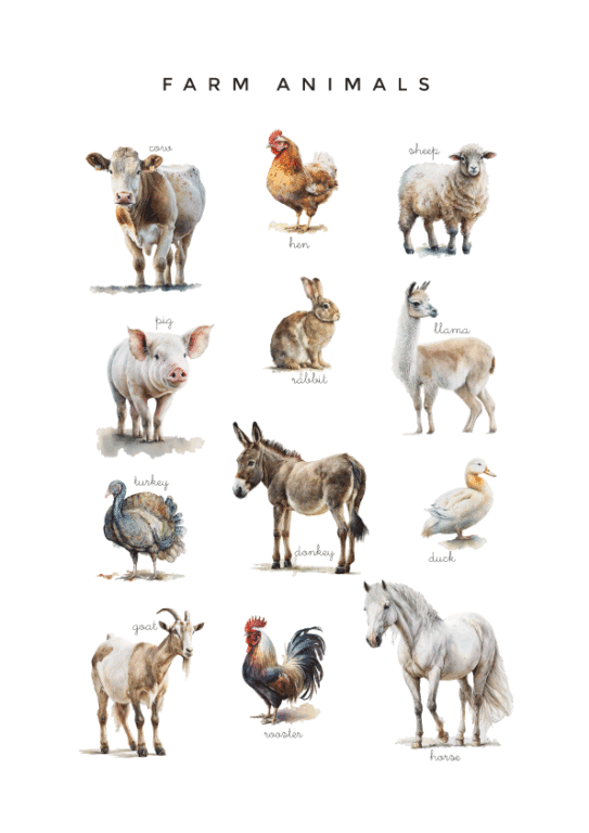 Farm Animals: An Educational Resource for All Ages (12Animals)