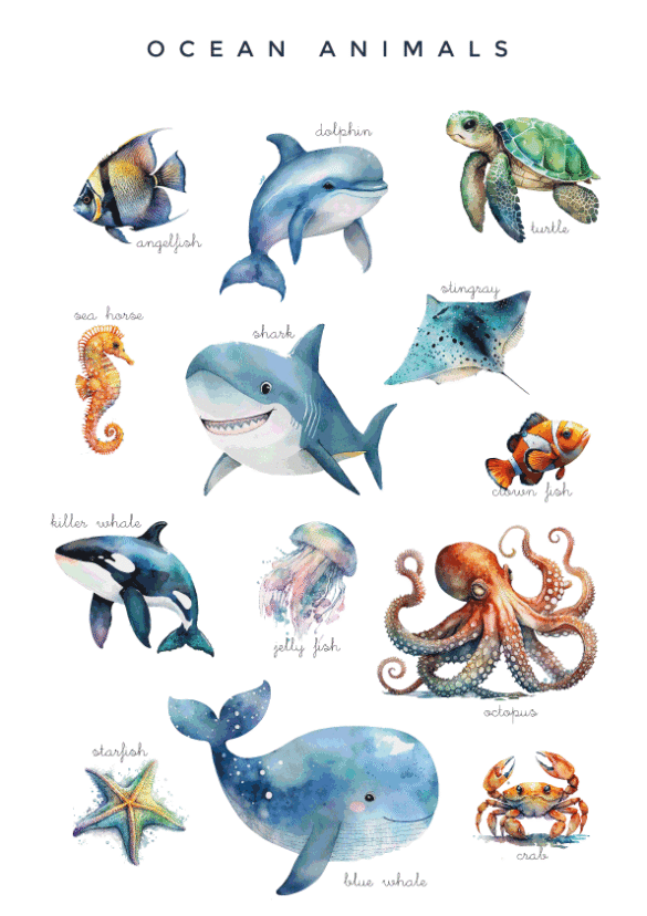 Sea Animals: A Learning Resource for Classrooms