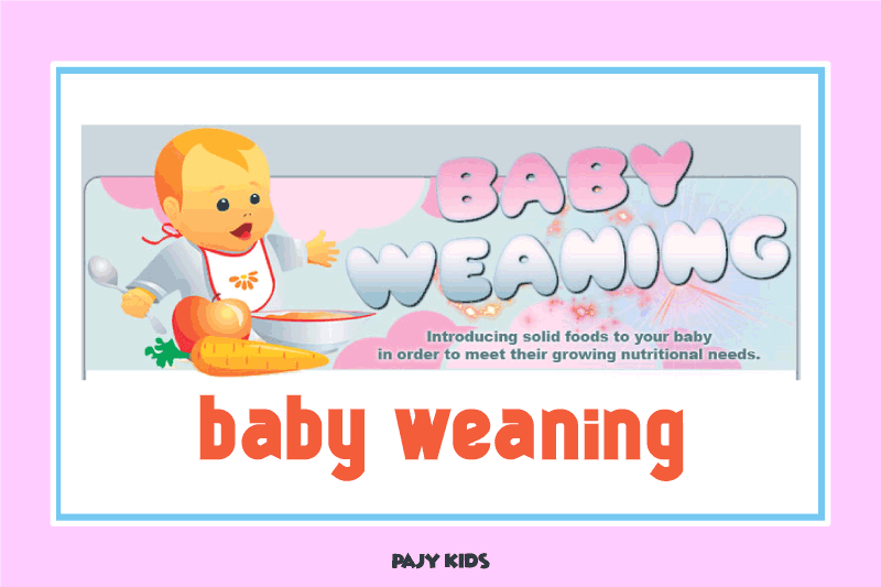 Mastering Baby Weaning: Essential Tips and Trusted Advice for a Smooth ...