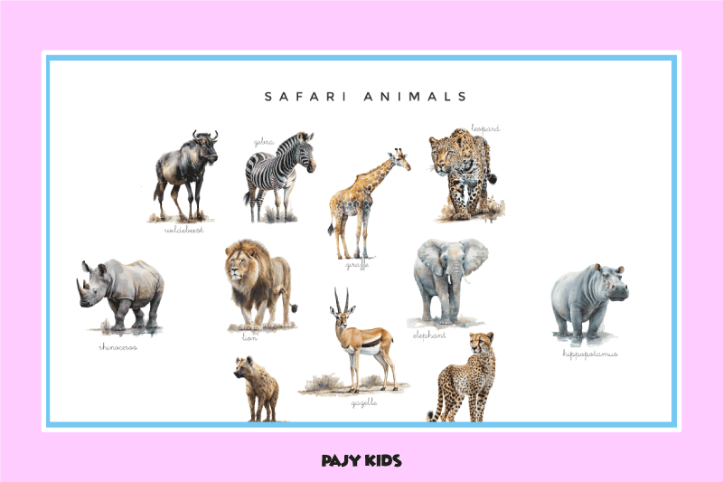 Safari Animals: A Visual Encyclopedia for School and Kindergarten