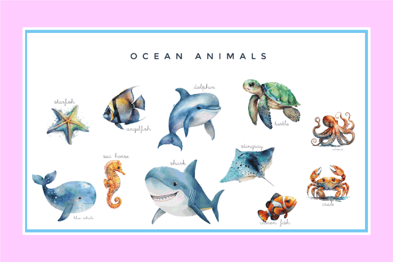 Sea Animals: A Learning Resource for Classrooms