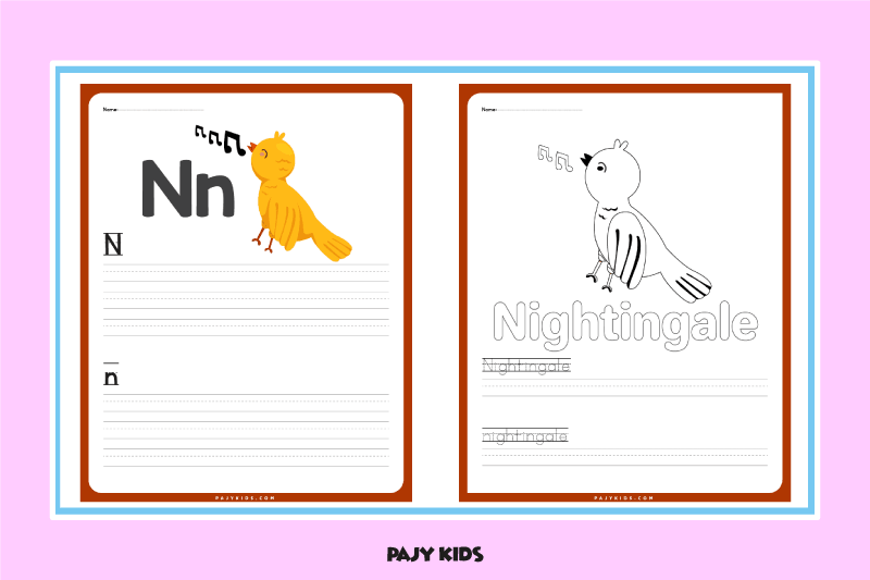 Letter n Worksheet Activities: Flashcard, Trace, and Color