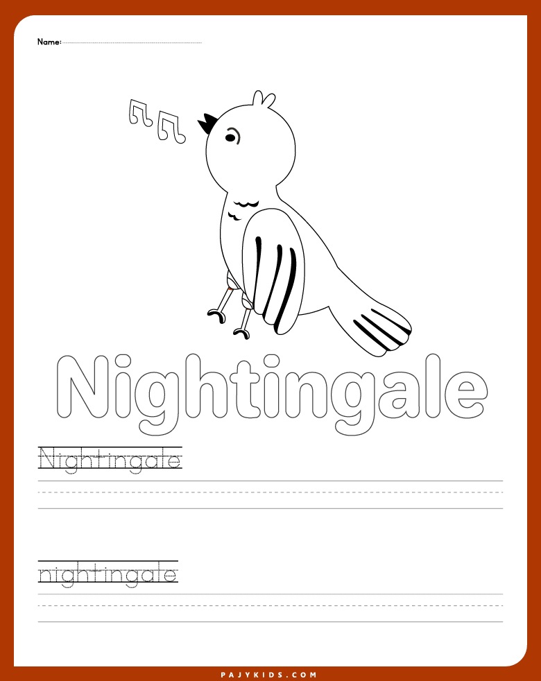 Letter n Worksheet Activities: Flashcard, Trace, and Color