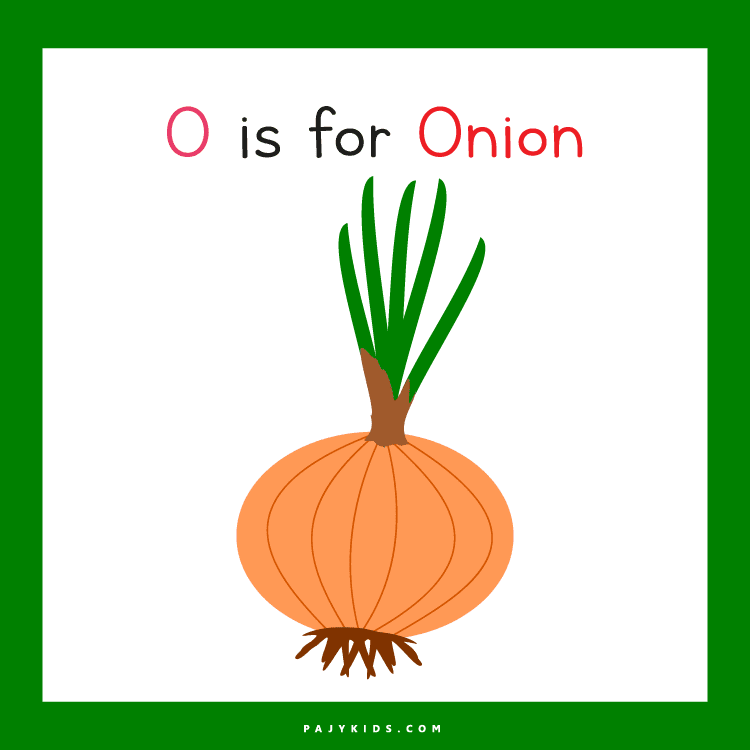 Letter o Worksheet Printable for Capital and Lowercase Writing