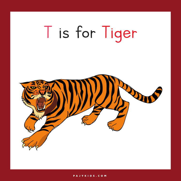 Letter T Worksheet Set for Kindergarten: T Is for Tiger