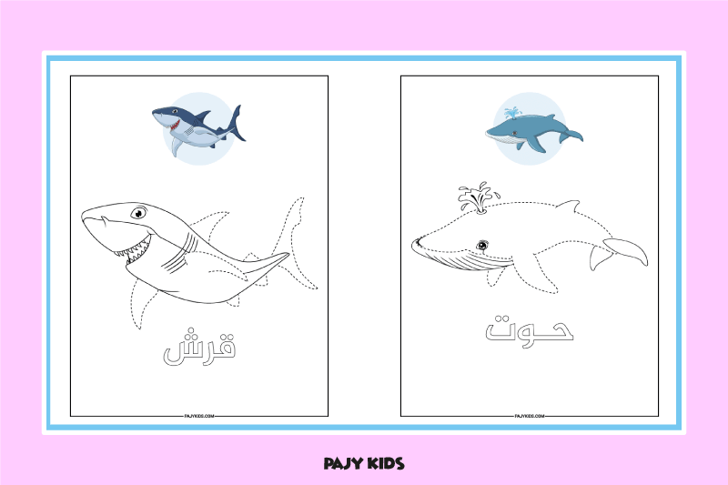 Arabic Activity Sheets with Fun Animal Tracing Activities