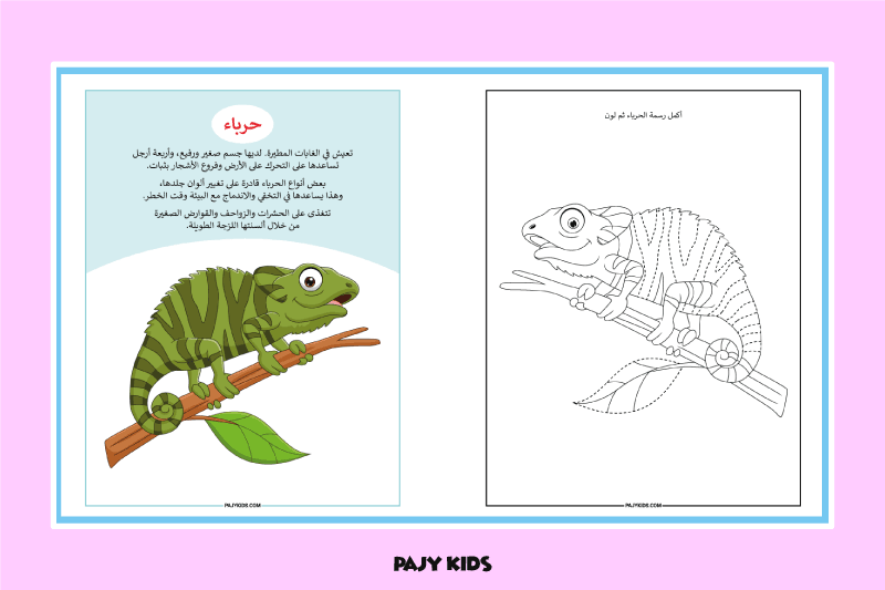 Arabic Worksheets for Developing Fine Motor and Language Skills