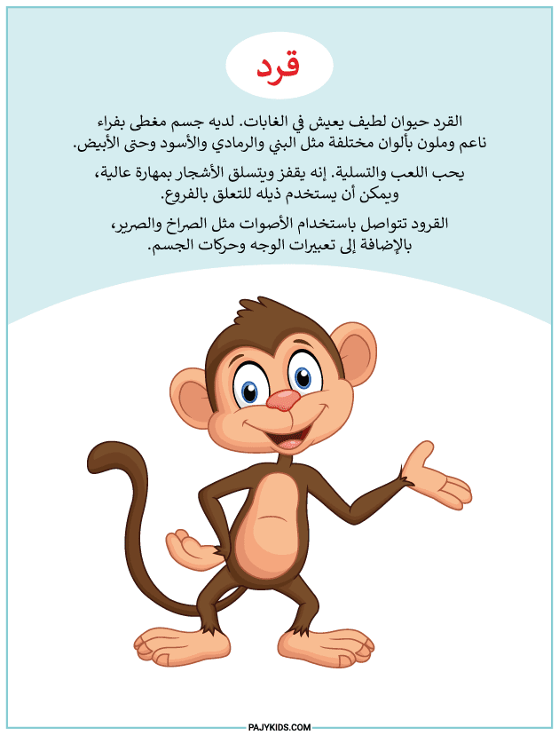 Arabic Beginner Worksheets for Kindergarten Learning