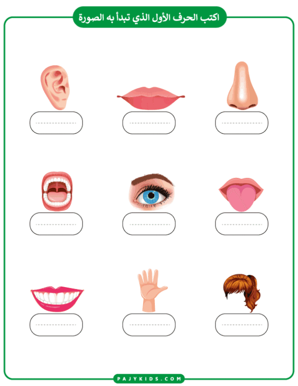 Arabic Letter Worksheet for Preschool Letter Practice