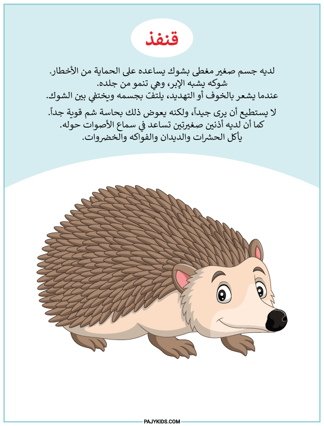 Arabic Worksheets for Developing Fine Motor and Language Skills
