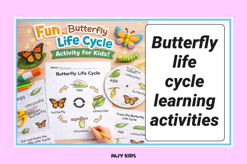 Butterfly Life Cycle for Kids: Easy and Fun Learning Activities
